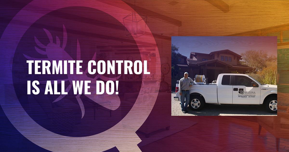 Phoenix Termite Control | Arizona Termite Specialists