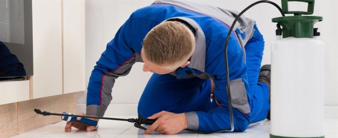 December | Phoenix Termite Control