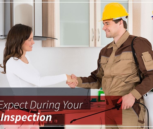 October | Phoenix Termite Control